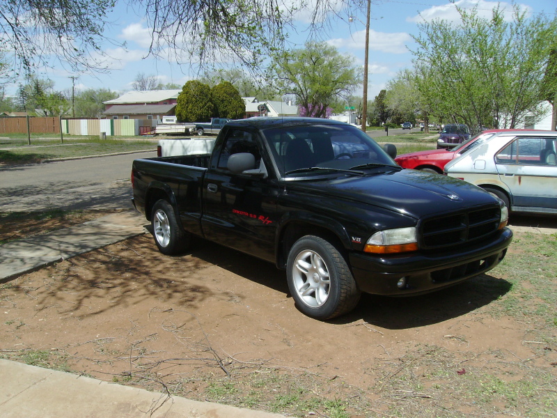1999 Dodge Dakota Reg. Cab 6-ft. Bed 2WD VIN Lookup - AutoDetective
