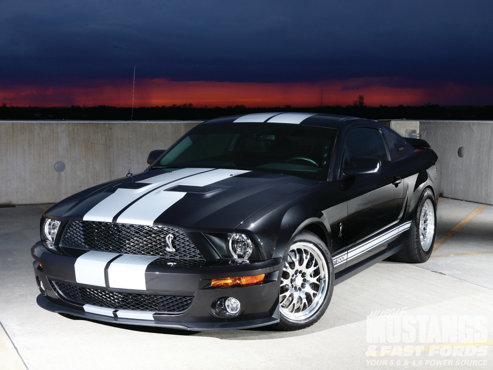 2008 Ford Shelby GT500 VINs, Configurations, MSRP & Specs - AutoDetective