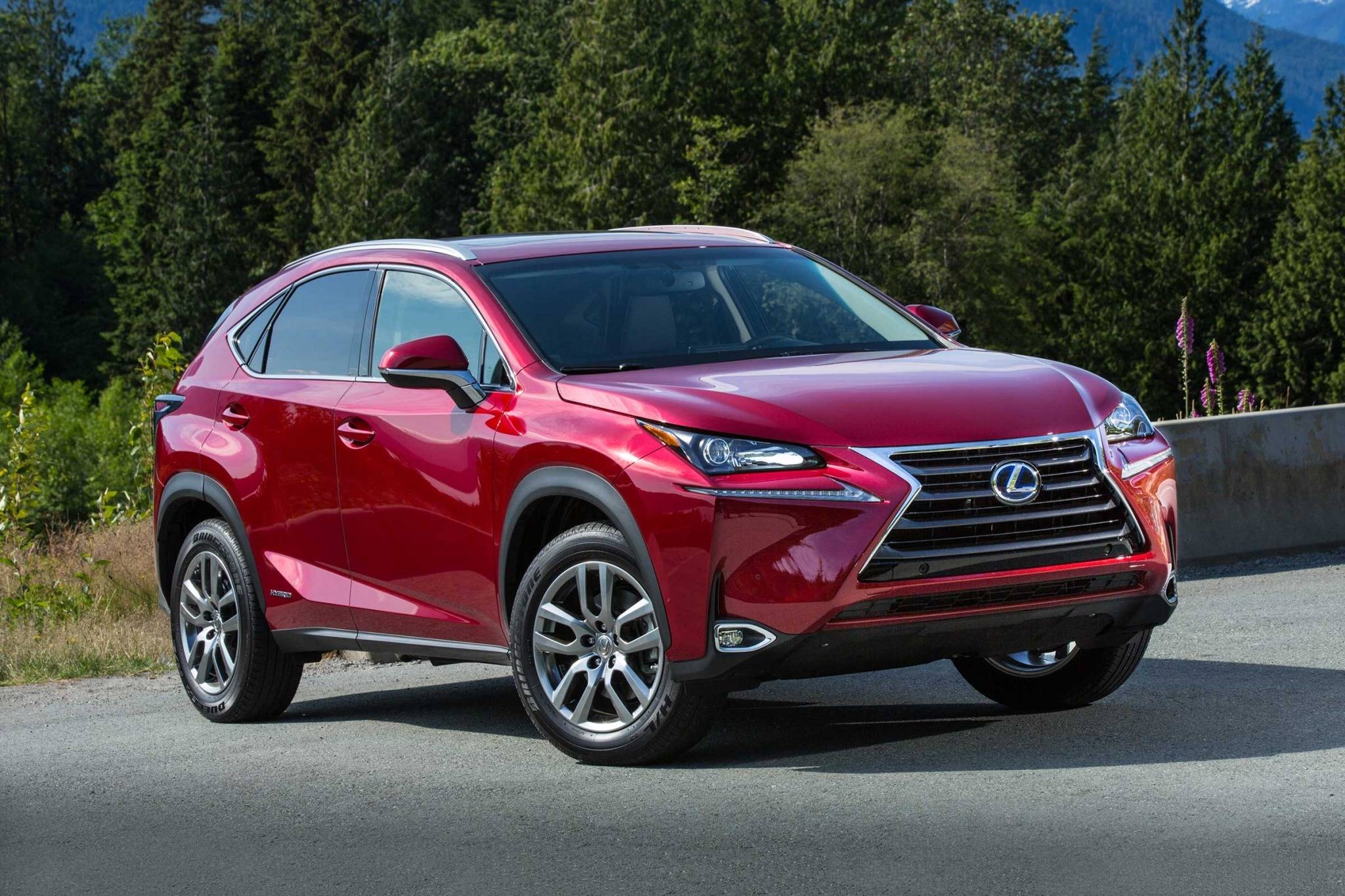 2018 Lexus NX 300h VINs, Configurations, MSRP & Specs - AutoDetective