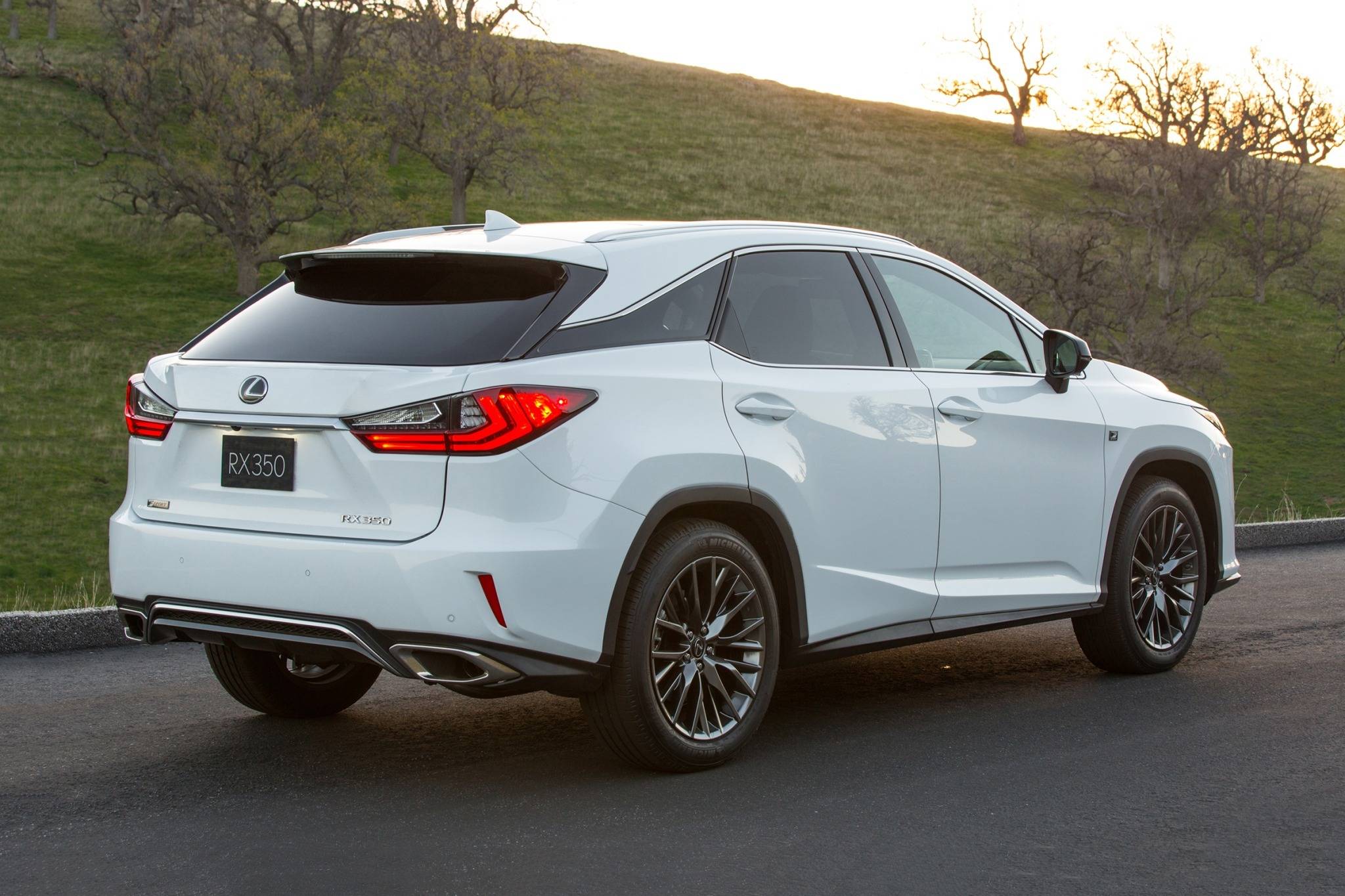 2017 Lexus RX 350 VINs, Configurations, MSRP & Specs - AutoDetective