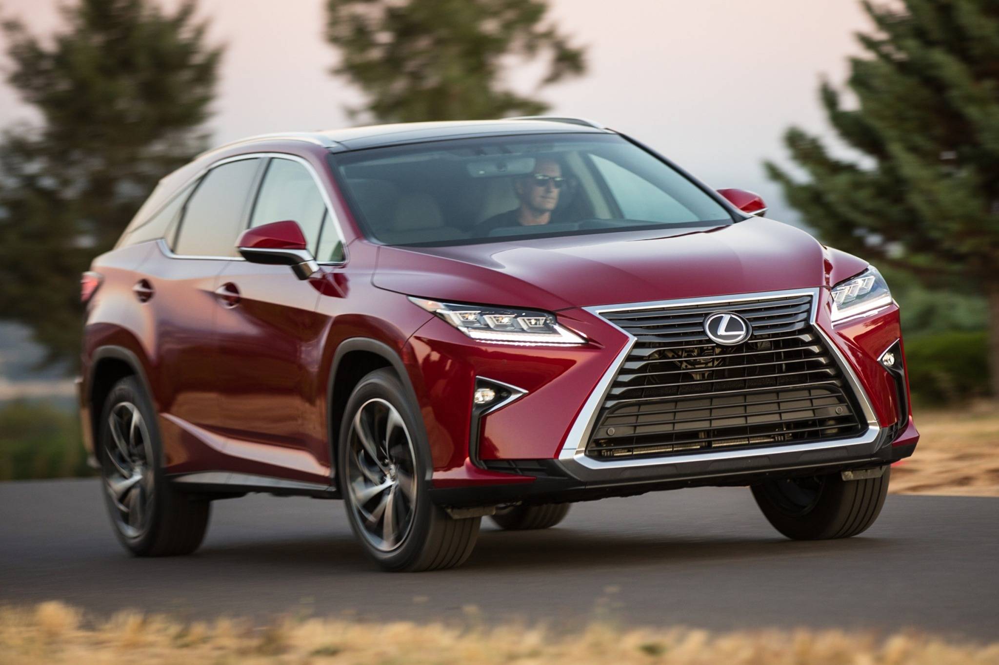 2017 Lexus RX 350 VINs, Configurations, MSRP & Specs - AutoDetective