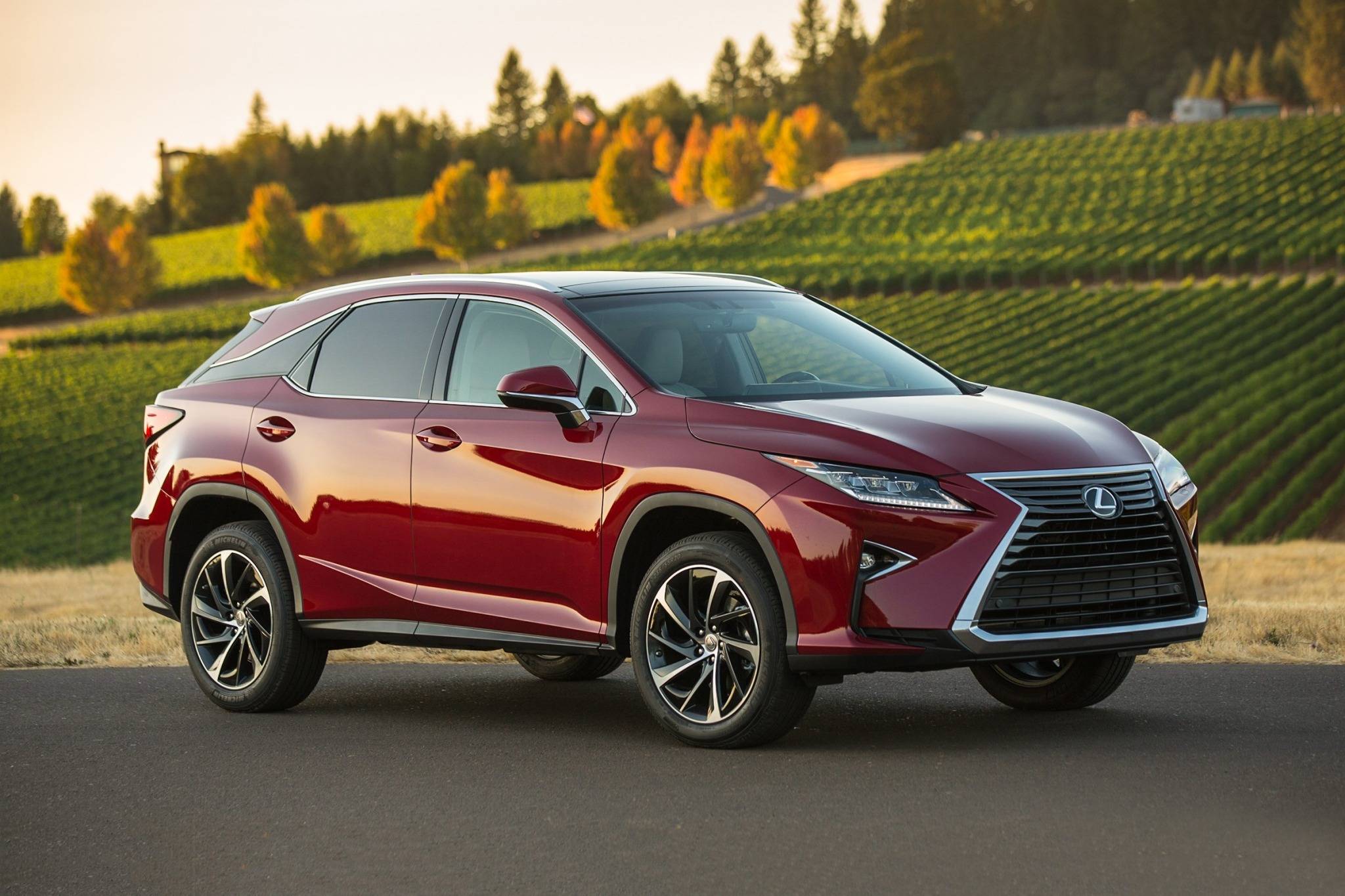 2017 Lexus RX 350 VINs, Configurations, MSRP & Specs - AutoDetective